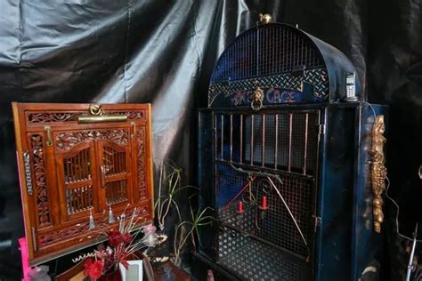 The Very X Rated Narnia Behind Closed Doors At A Forest Of Dean