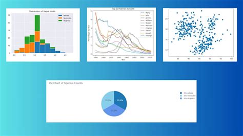 Do Data Analysis Using Python Pandas Numpy And Matplotlib By Fh Graphix Fiverr