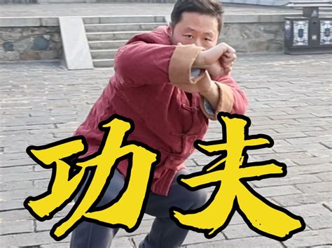 肥螳螂，快形意，妙太极 武术研究所 武术研究所 哔哩哔哩视频