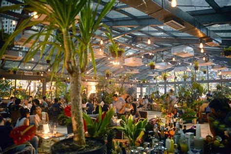 What Is In Scbd Flokq Blog