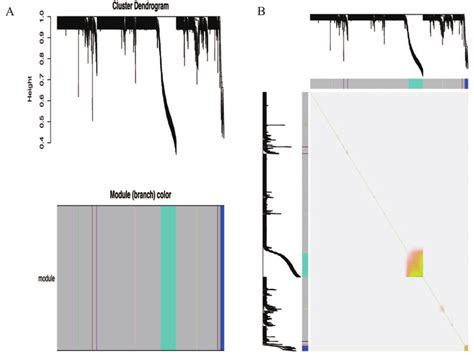 Gene Modules Identified In The Wgcna A Gene Dendrogram Obtained By
