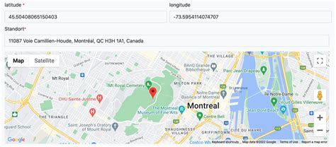 Vue Js GoogleMap Set Longitude And Latitude After Request Stack