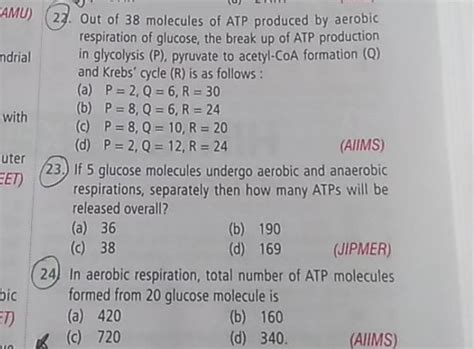Out Of 38 Molecules Of Atp Produced By Aerobic Respiration Of Glucose Th