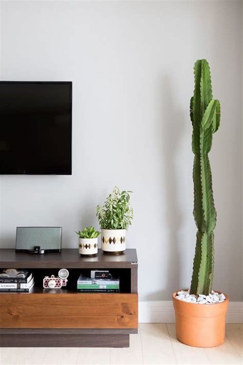 Como Melhorar A Energia Da Sua Casa LIV Decora