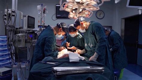 Chinese Scientists Transplant Multi Gene Edited Pig Skin Onto Human Cgtn