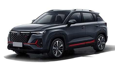 ظل الجزيرة نتائج البحث