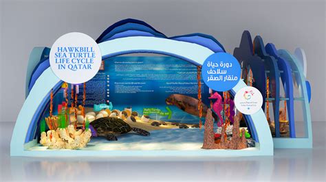 Hawksbill Sea Turtle Life Cycle Exhibition On Behance