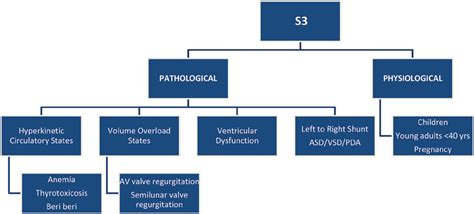 additional heart sounds—part 1 third and fourth heart sounds indian
