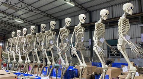 How The 12 Foot Home Depot Skeleton Became A Perennial Hit Mashable