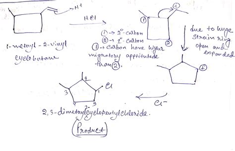 Solved What Is The Product Of 1 Methyl 2 Vinylcyclobutane And Hcl