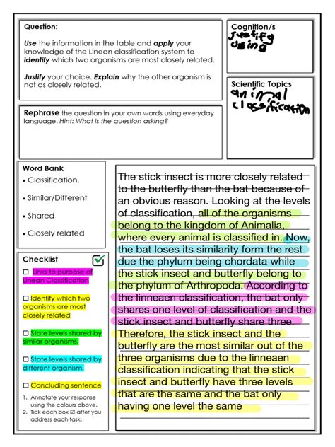 Levels Of Classification Template Pdf Cognition Cognitive Science