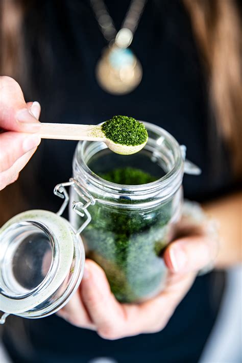 Fresh Wheatgrass Juice Powder Fresh Wheatgrass Girl