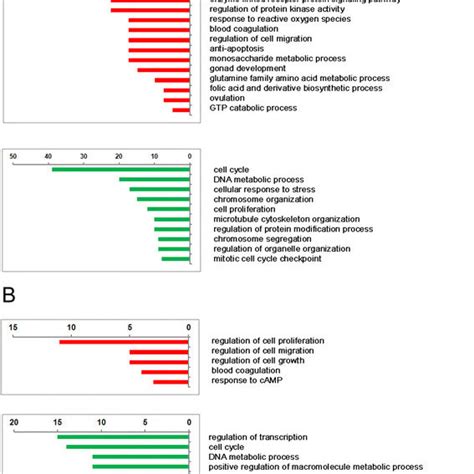 Functional Classification And Numbers Of Genes Over And Underexpressed