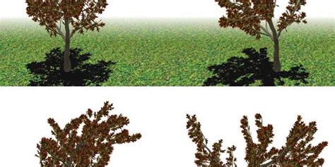 Jernej Barbič Mit Technology Review