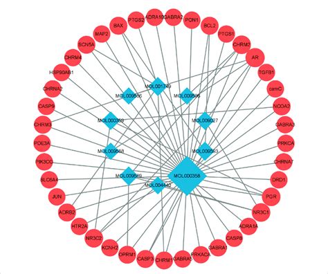 Compound Target Network The Blue Diamond Represents The Active