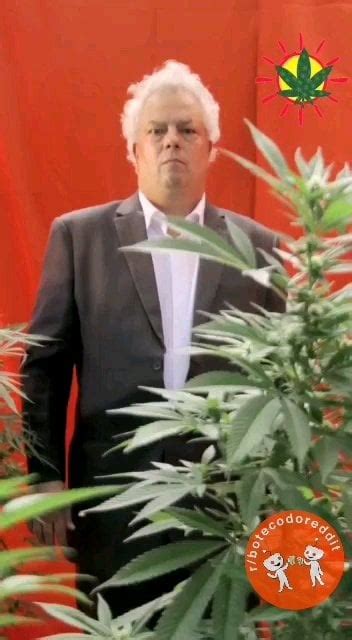 Vote Consciente ️ Rbotecodoreddit