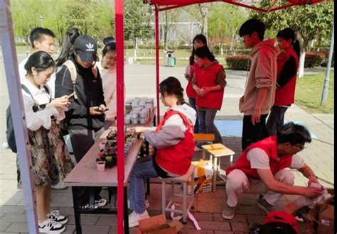 我校开展第十四届全国青少年“绿植领养”活动 团委