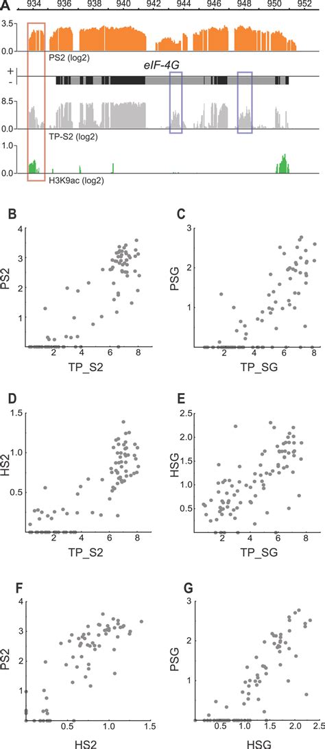 Correlations Of Pof And Hp1 Binding Strength With Each Other And With
