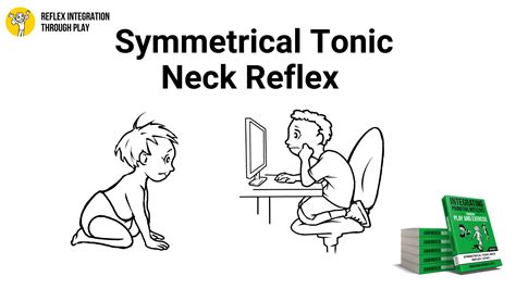 Benefits Of The Symmetrical Tonic Neck Reflex Stnr Reflex