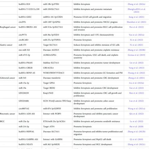 Regulatory Pathways And Functions Of Ferroptosis Related NcRNAs In