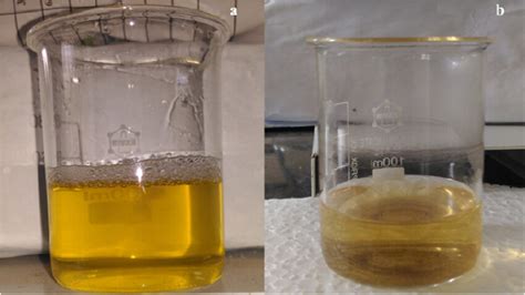 Keratin solution (a); Ru-Qr encapsulated keratin NP solution (b ...