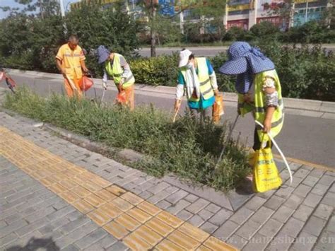 未央谭家街道持续发力做好辖区保洁工作