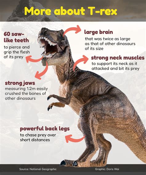 Facts About The T Rex King Of The Tyrant Lizards And One Of The
