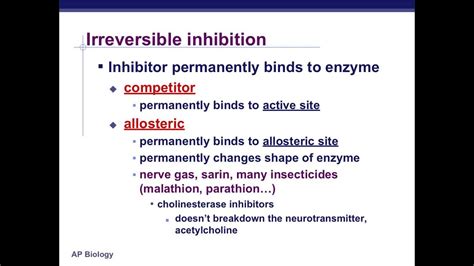 Factors That Affect Enzymes Youtube