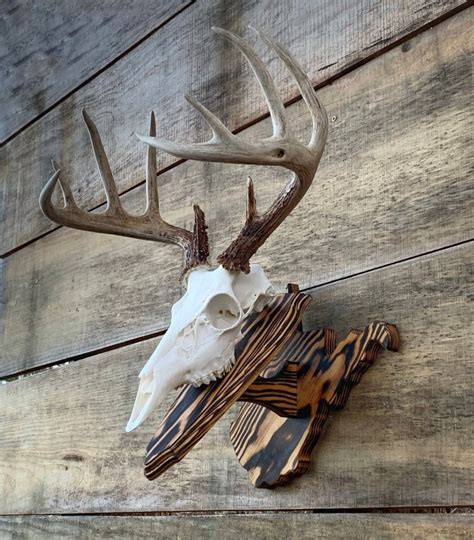 Deer Skull Mount Plaques
