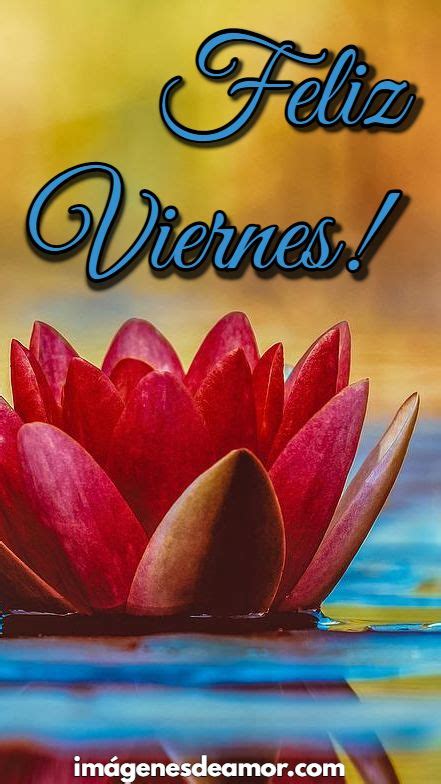 Imágenes de Buenos Días Feliz Viernes Debe Ver Imagenes