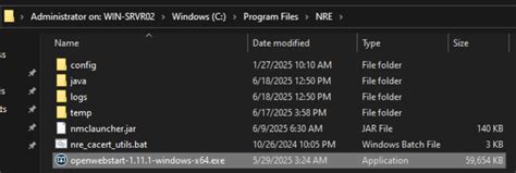 Networker Nmc Launcher Fails To Connect To Nmc After Upgrade To Networker 1913 Dell Us