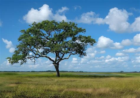 Tree In The Middle Of The Grassland Premium Ai Generated Image