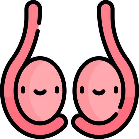 Testis Kawaii Lineal Color Icon
