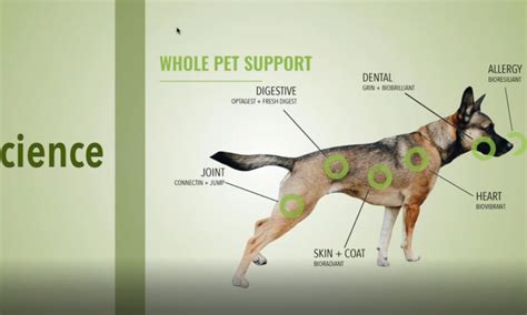 Pet Sustainability Coalition Presents Critical Sustainability