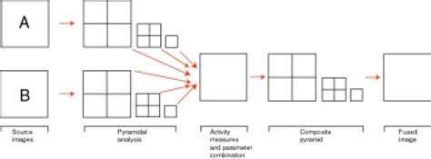 Scheme Of Image Fusion Download Scientific Diagram