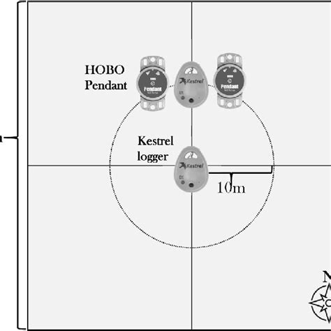 Schematic Representation Of The 40 M2 Sampling Plot With A 10 M Radius