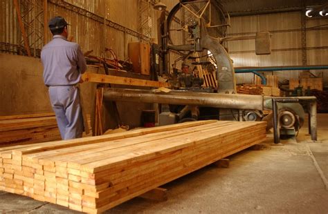 Actualidad De La Industria Maderera Baja Rentabilidad Por Altos Costos