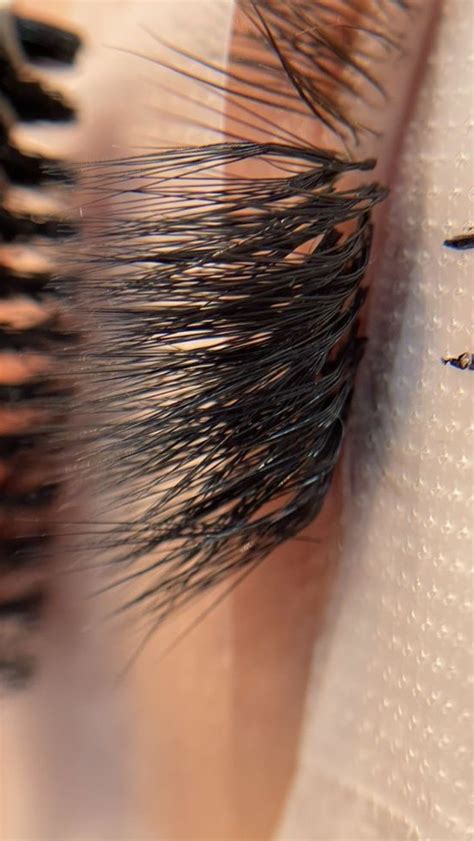 Lashes And Supplies Orlando Fl Curvelashes • Instagram Photos And