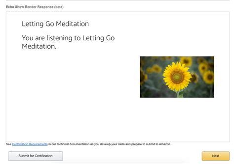 Image In Alexa Card Response Not Showing Stack Overflow