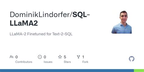 Github Dominiklindorfer Sql Llama Llama Finetuned For Text Sql