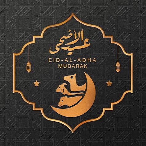 Eid Ul Adha 2025 Charity Meals