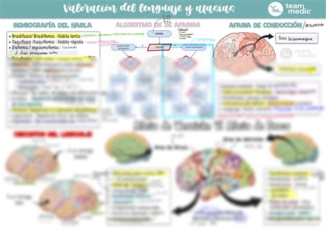 SOLUTION Semiolog A Neurol Gica Valoracion Del Lenguaje Y Afasias
