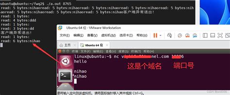 搭建互联网可访问的tcp服务器（基于ngrok实现）ngrok Tcp Csdn博客