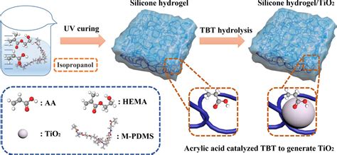 In‐site Synthesis Of Tio2 In Hema‐aa‐co‐pdms Hydrogel Uv Resistance