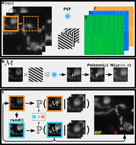Figure 1 From A Structured Illumination Microscopy Framework With