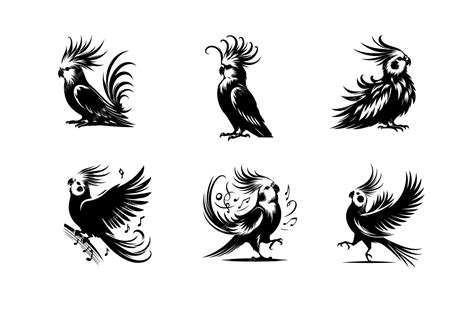 Cockatiel Bird Vector Illustration Collection Set Premium Ai