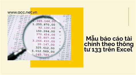 Mẫu Báo Cáo Tài Chính Theo Thông Tư 133 Excel