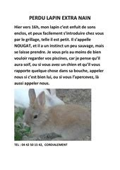 PERDU LAPIN EXTRA NAIN Par Utilisateur Fichier PDF