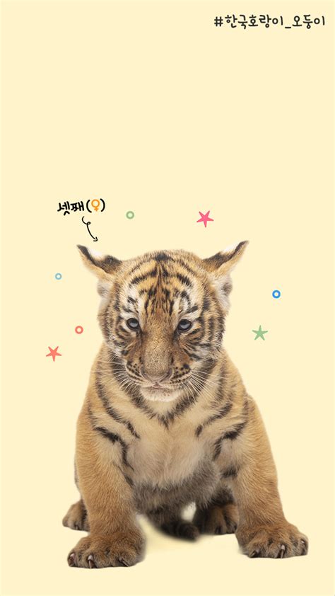 한국호랑이 오둥이 핸드폰 배경화면 모음 