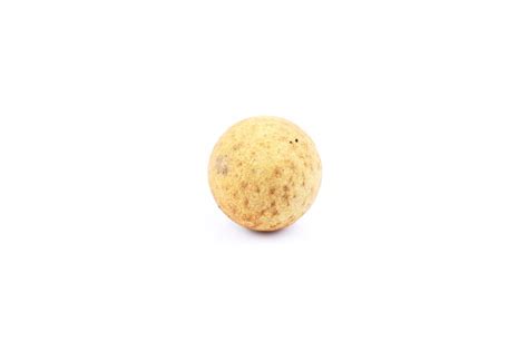 신선한 Longan 과일 절연 흰색 배경에 배치 0명에 대한 스톡 사진 및 기타 이미지 0명 갈색 개체 그룹 Istock